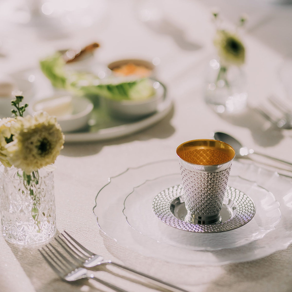 Pesach Plates and Bowls – Shluchim Supplies